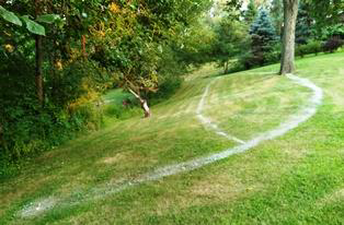 How to Establish a No Mow Lawn! – Johnson County Master Gardeners of Iowa