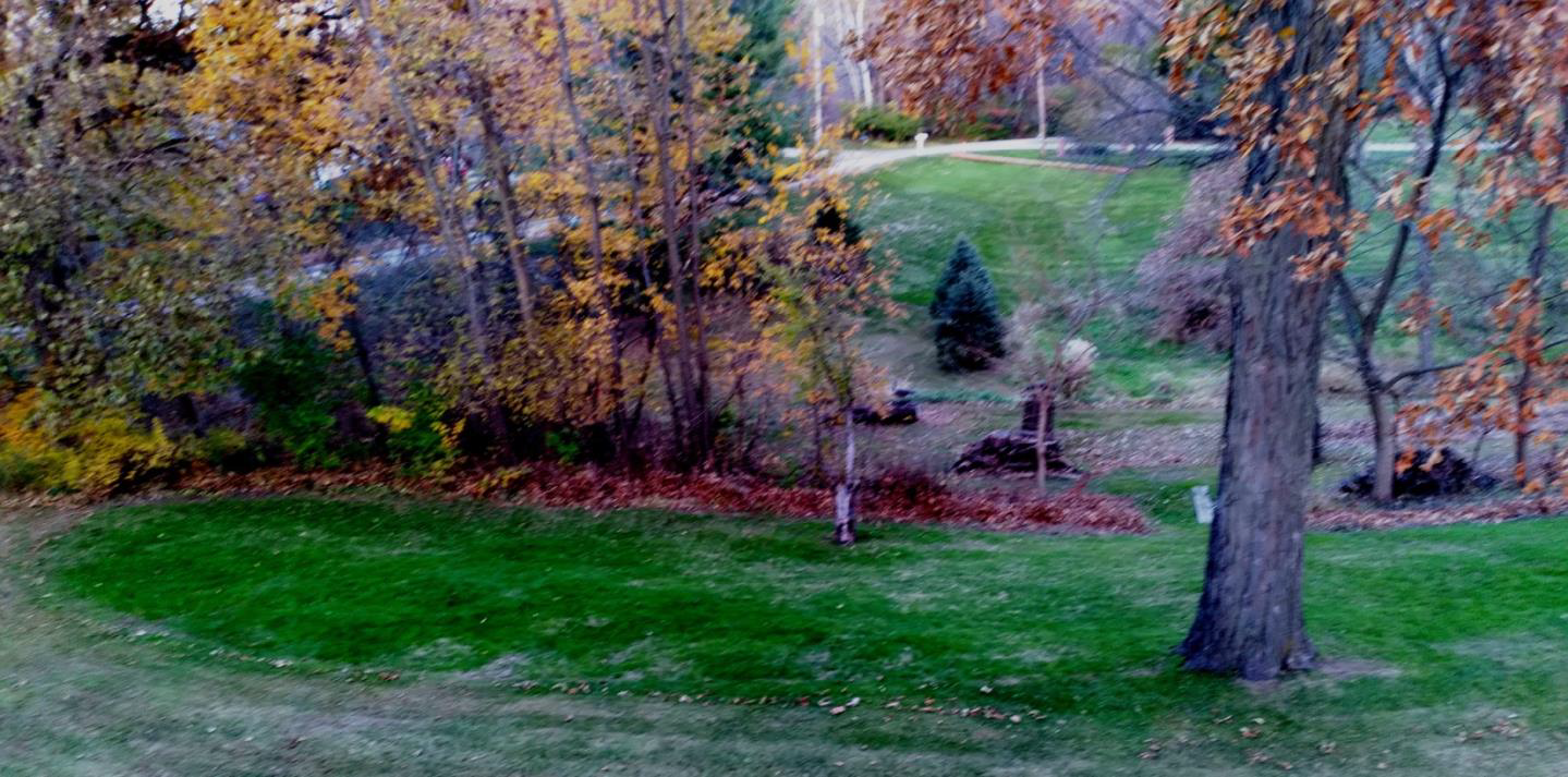 How to Establish a No Mow Lawn! – Johnson County Master Gardeners of Iowa