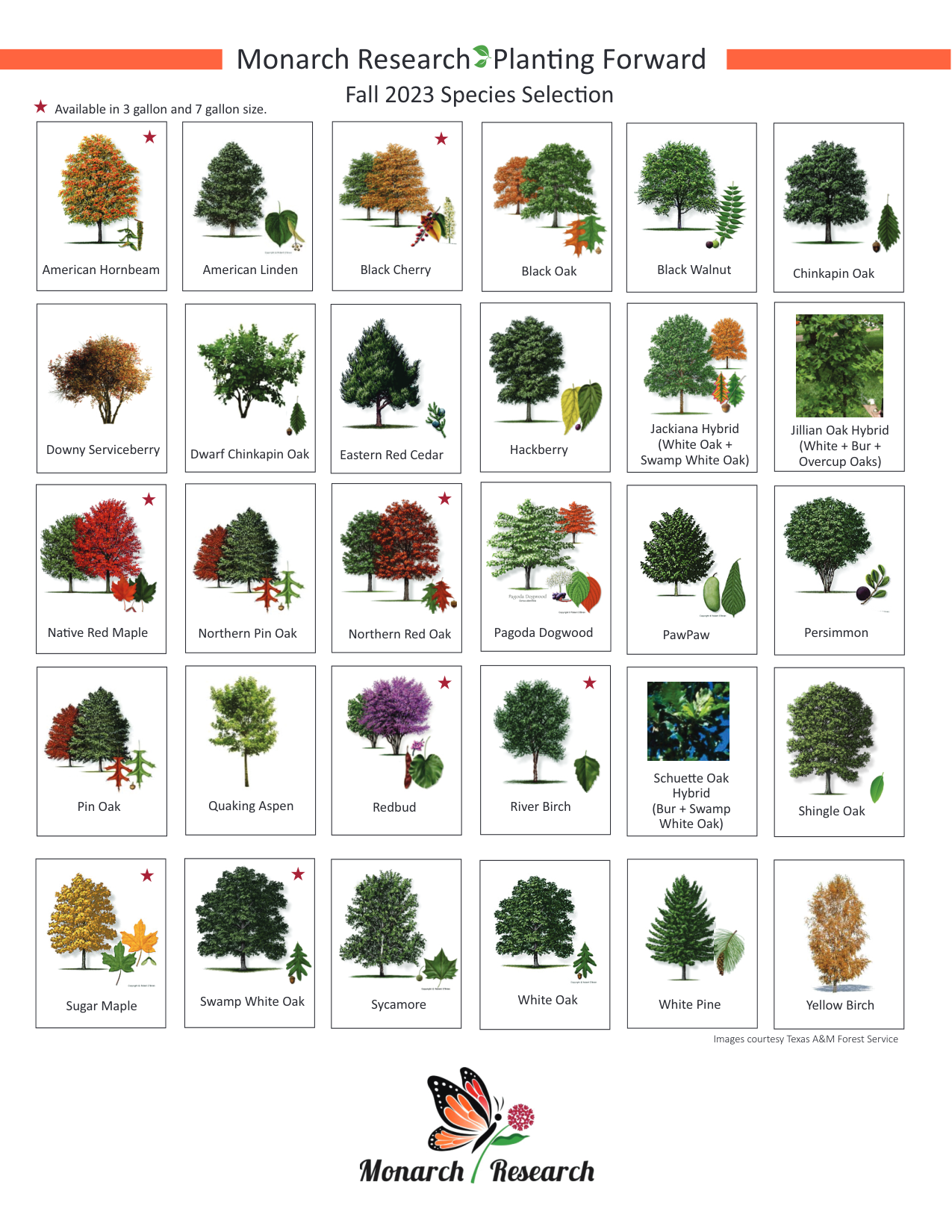 Trees please . . . – Johnson County Master Gardeners of Iowa