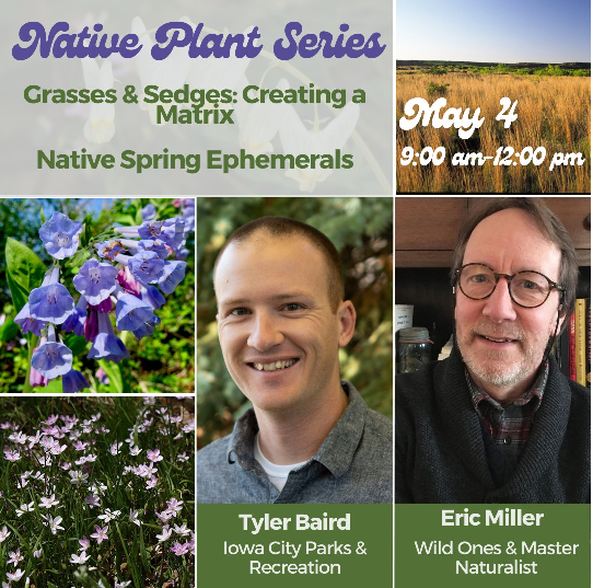 Native Plant Series continues in 2025 – Johnson County Master Gardeners ...