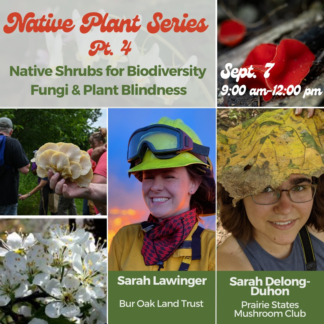 Native Plant Series to conclude Sept. 7 – Johnson County Master ...