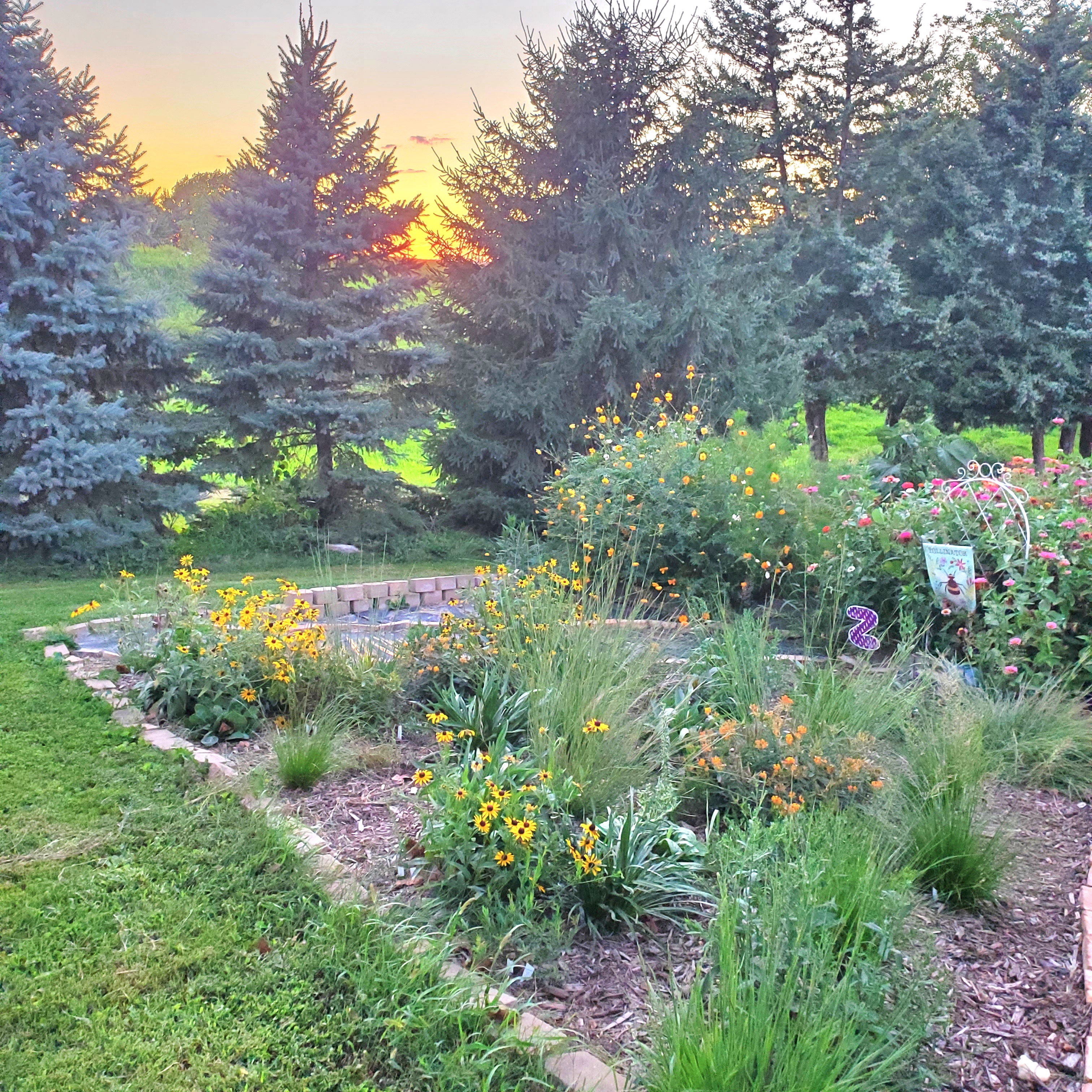 Pocket Prairie Programs Blooming – Johnson County Master Gardeners of Iowa
